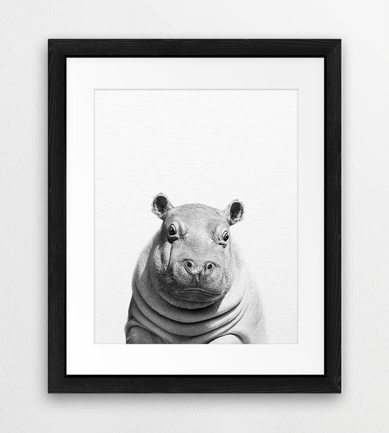 Hippo Print Baby Hippo Nursery Decor Safari Animals Baby | Etsy