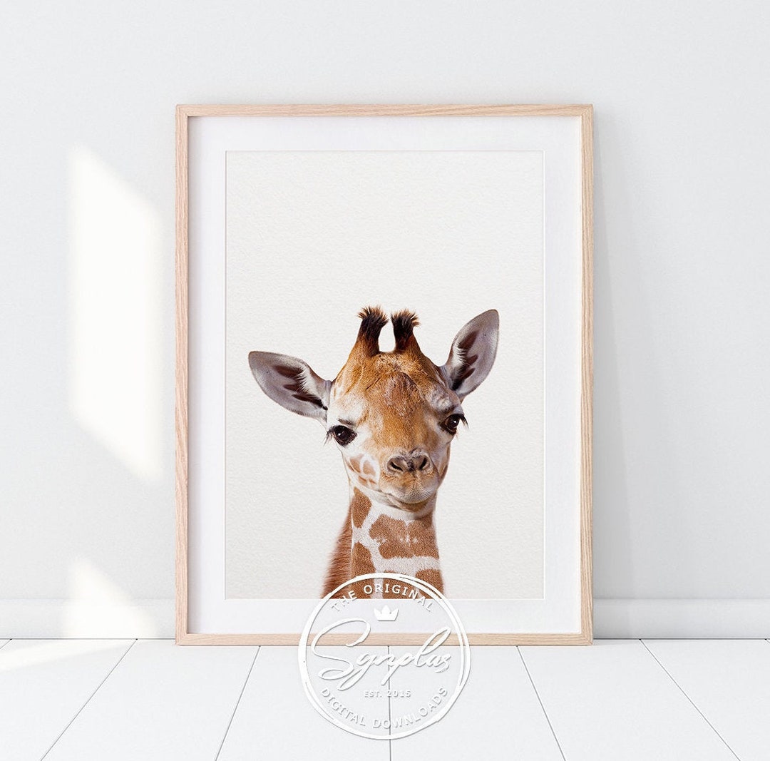 Baby Giraffe Print, Safari Nursery Art, Baby Animal Print, Safari ...