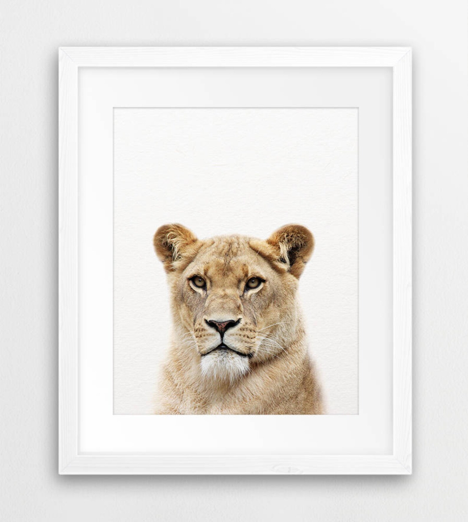 Lioness Print Safari African Animals Lioness Art Safari | Etsy