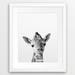 Safari Nursery Decor Baby Animals Set of 4 Zebra Giraffe - Etsy