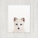 Fox Print Arctic Fox Cub Art White Animal Photo Baby Animal - Etsy