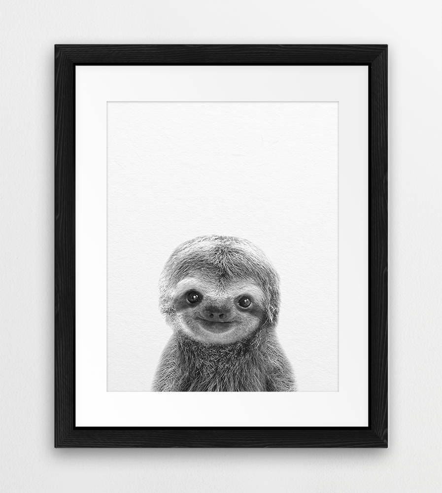 Baby Sloth Print Nursery Decor Baby Animal Prints Black & | Etsy