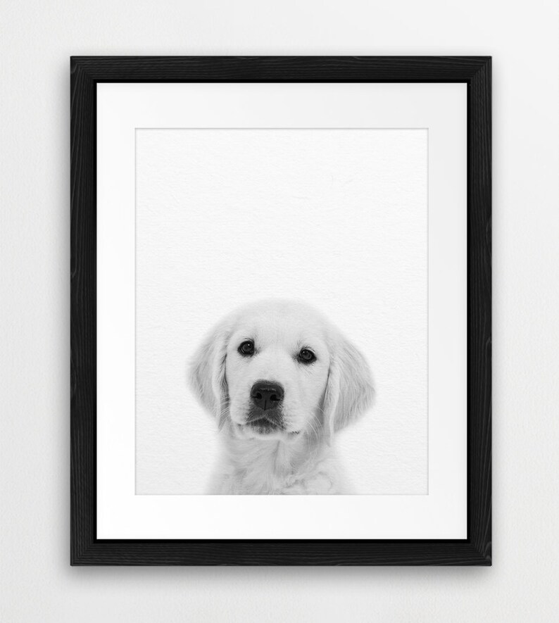 Dog Print Baby Animal Art Puppy Print Golden Retriever | Etsy