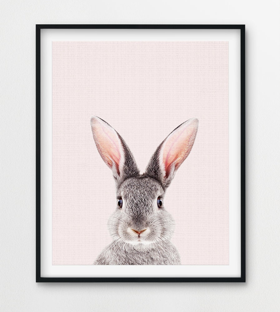 Rabbit Print Set of 2 Bunny Prints Pink Nursery Wall Art | Etsy