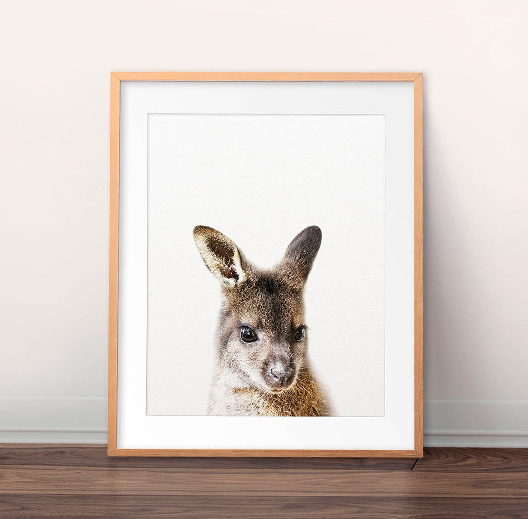 Baby Wallaby Print, Cute Wallaby Art, Nursery Wall Art, Australian ...