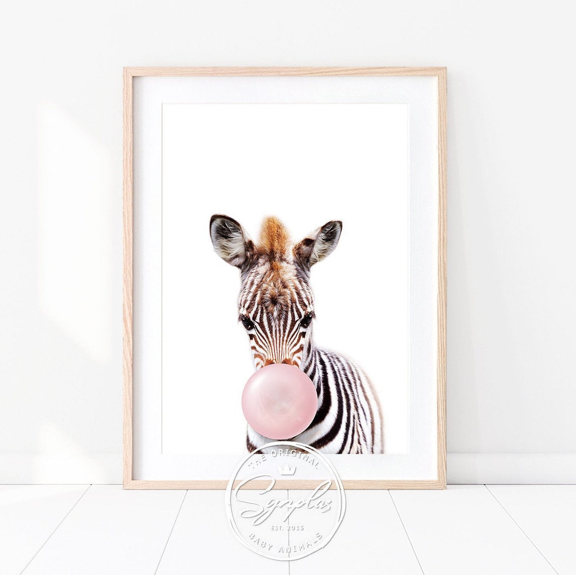 Baby Zebra With Pink Bubble Gum Zebra Blowing Bubble Gum - Etsy