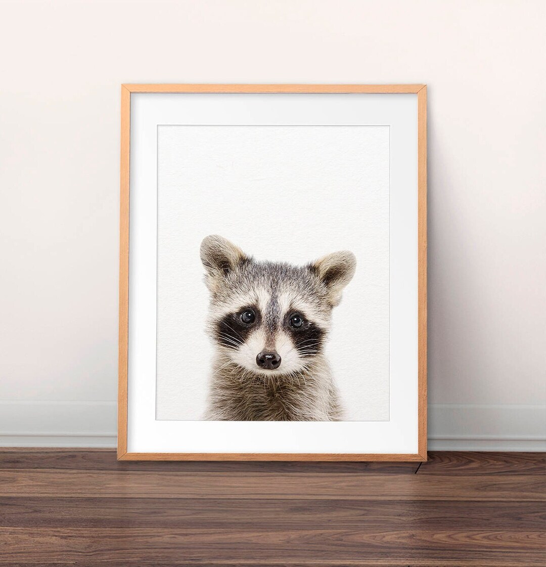 Raccoon Print, Baby Raccoon, Baby Animal Prints, Woodland Animal ...
