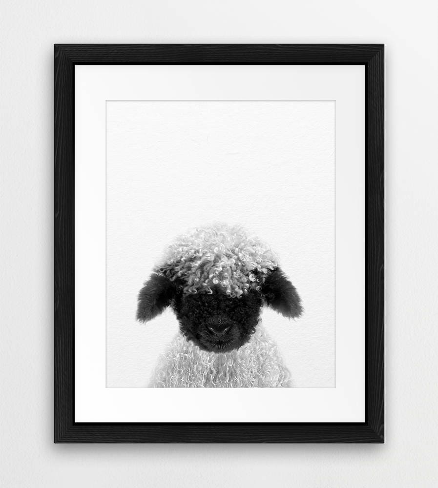 Lamb Print Nursery Decor Cute Lamb Print Blacknose Lamb | Etsy