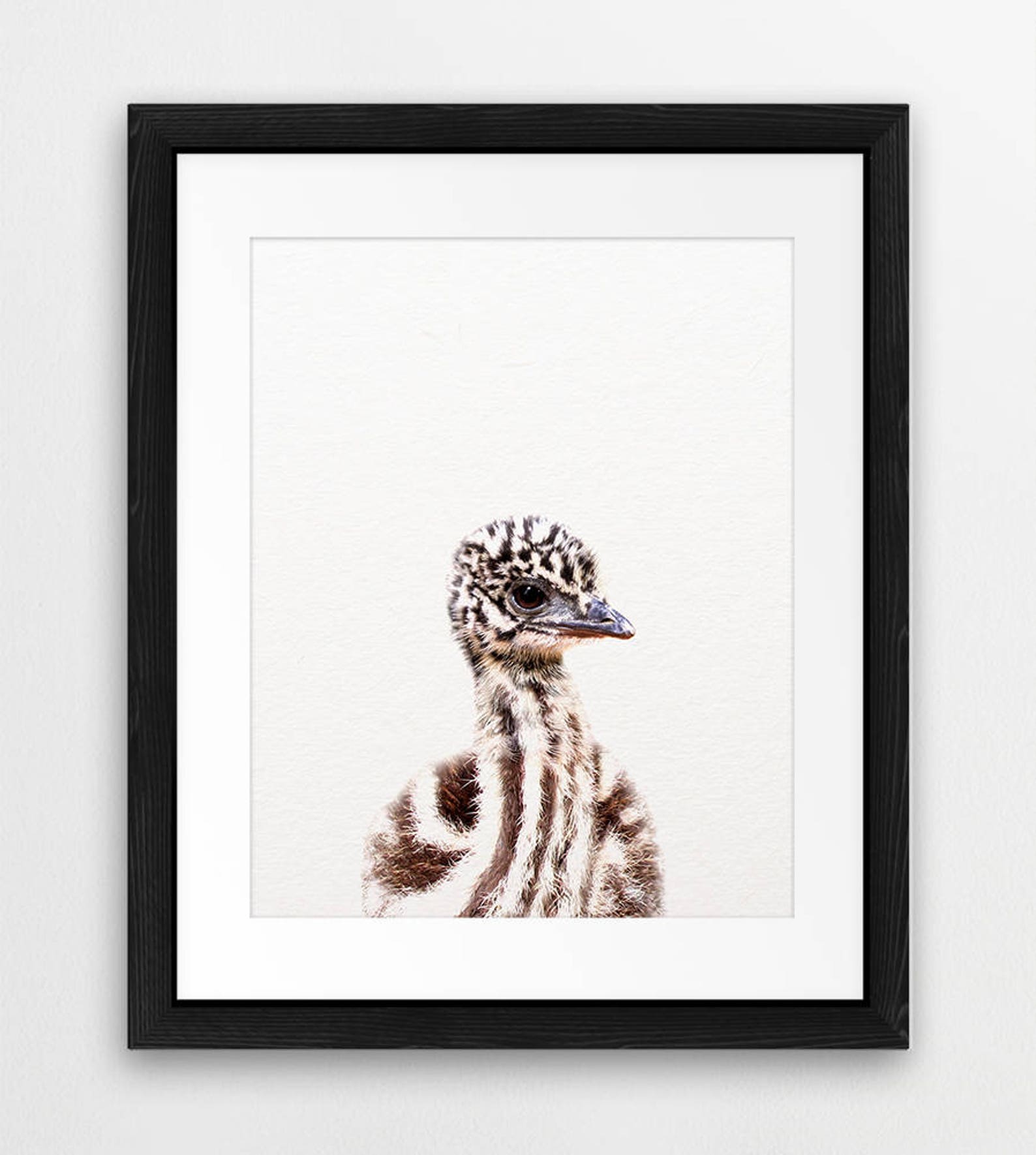 Emu Print Baby Animal Prints Australian Animals Emu Chick | Etsy