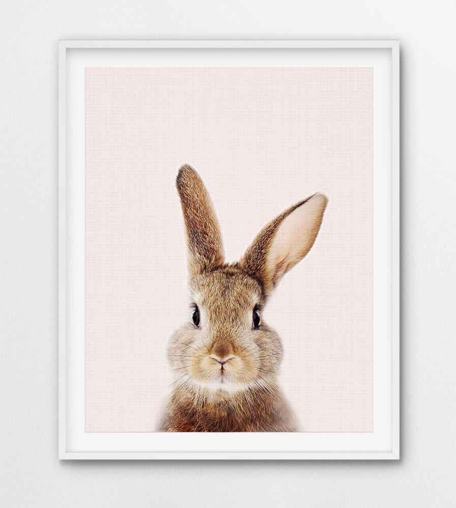 Rabbit Print Set of 2 Bunny Prints Pink Nursery Wall Art | Etsy