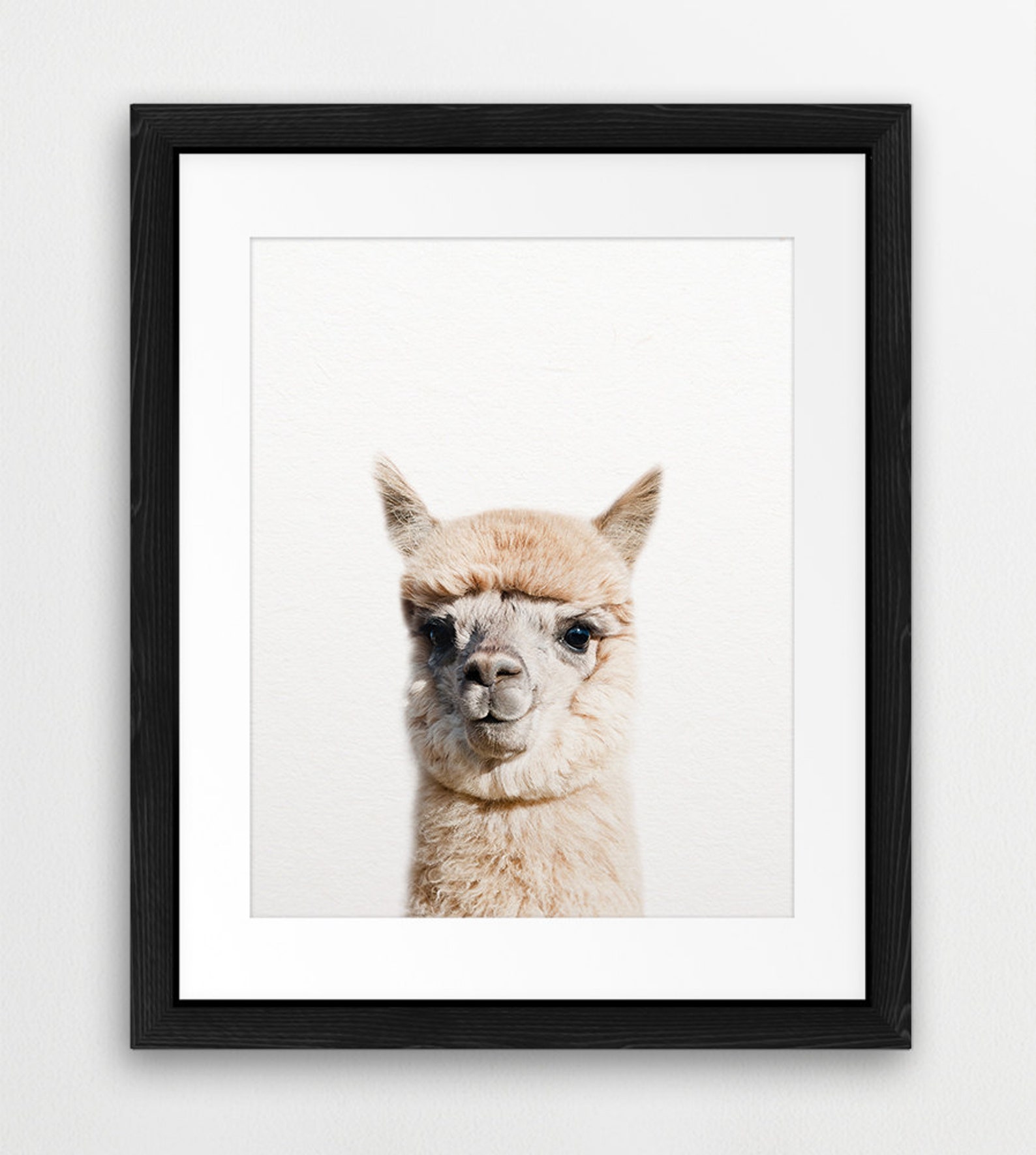 Alpaca Print, Nursery Decor, Llama Print, Nursery Wall Art, Farm ...