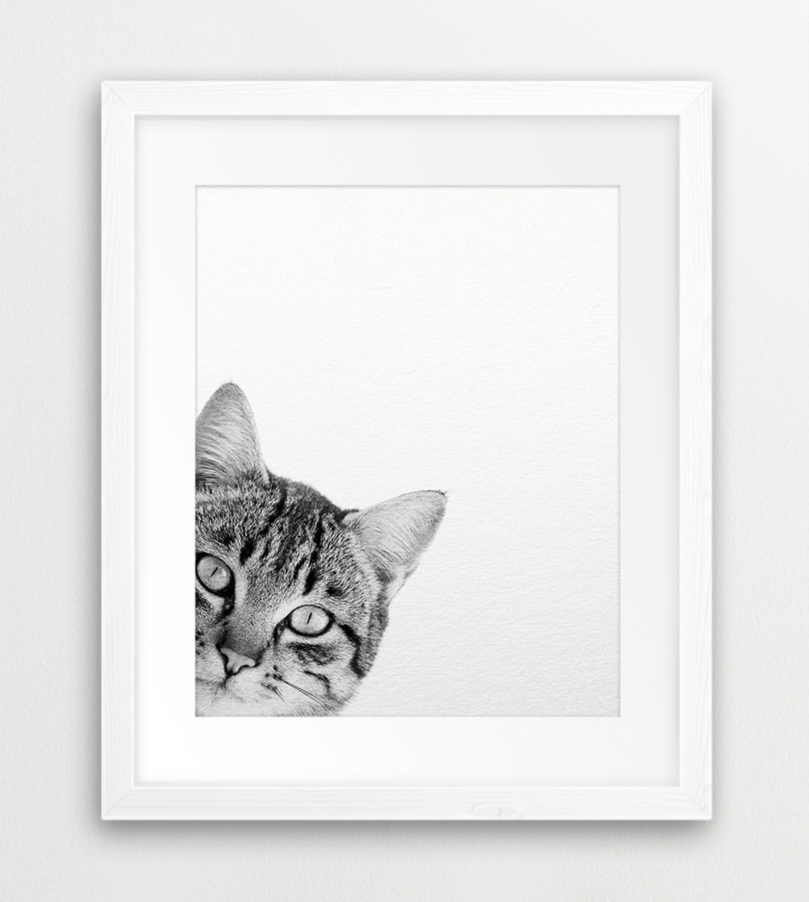 Cat Print, Cat Photo, Black and White Animal Print, Grey Cat, Domestic ...