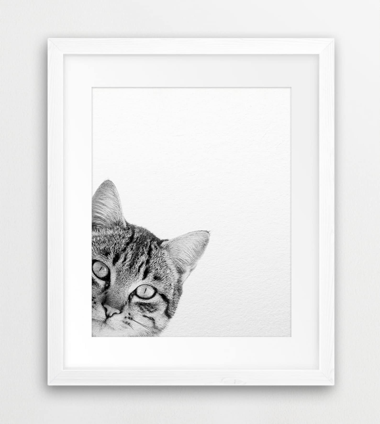 Cat Print Cat Photo Black and White Animal Print Grey Cat | Etsy