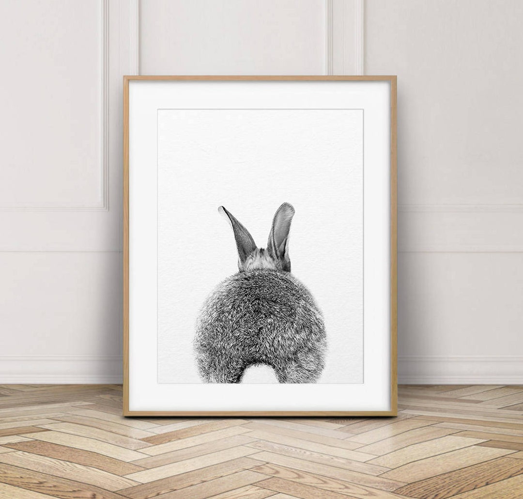 Rabbit Print, Woodlands Nursery Decor, Rabbit Tail Photo, Bunny Print ...