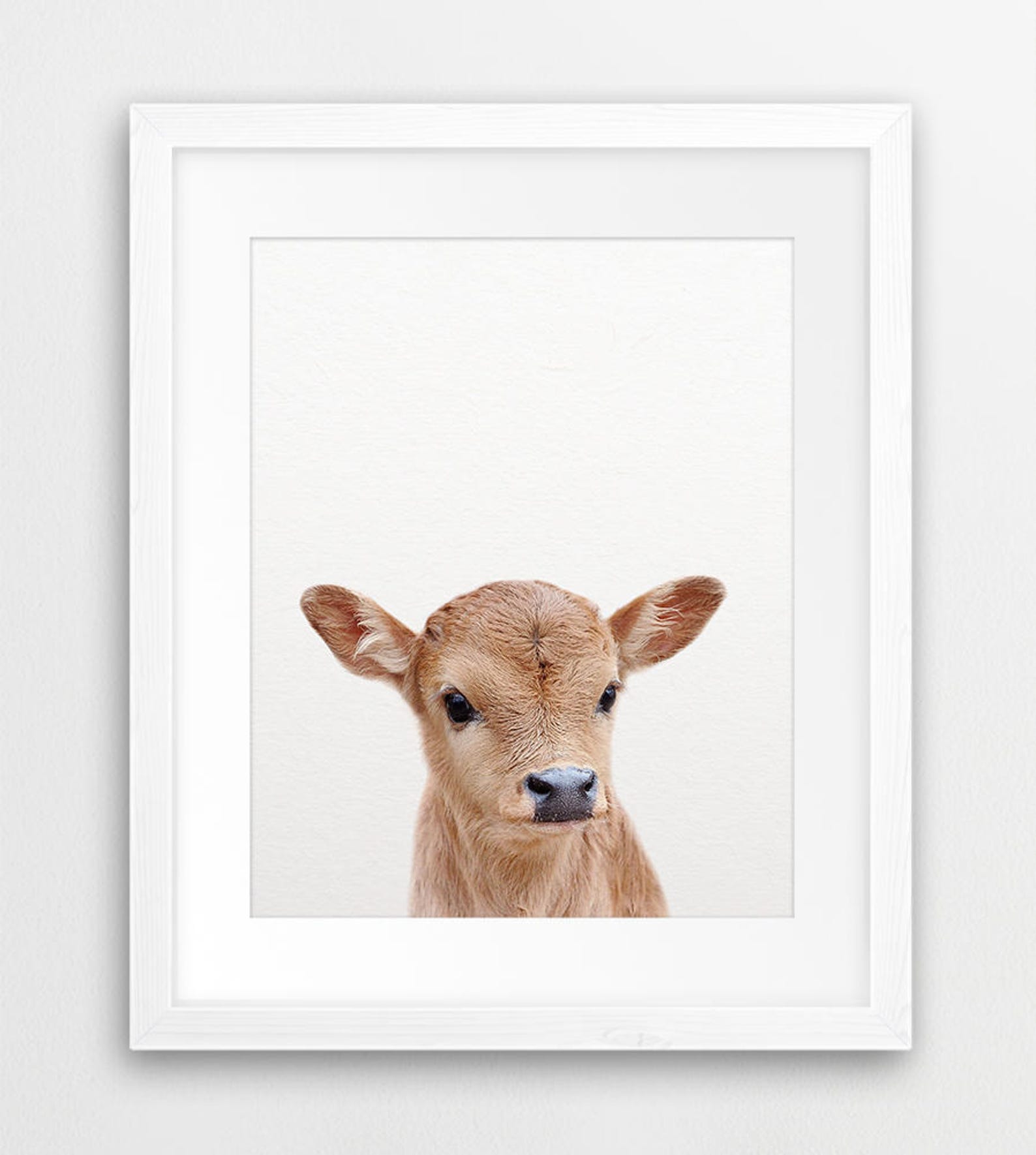 Calf Print, Baby Cow Print, Farm Animals Art Print, Baby Animals ...