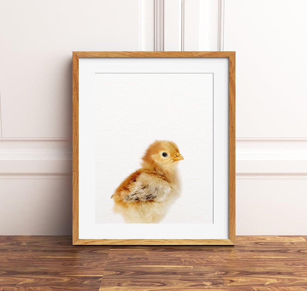 Chick Print, Nursery Wall Art, Cute Baby Animal Prints, Farm Animal ...