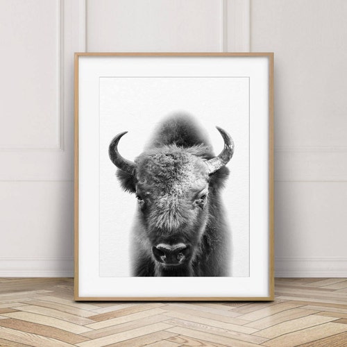 Buffalo Print Bison Wall Art Black and White Buffalo Modern - Etsy