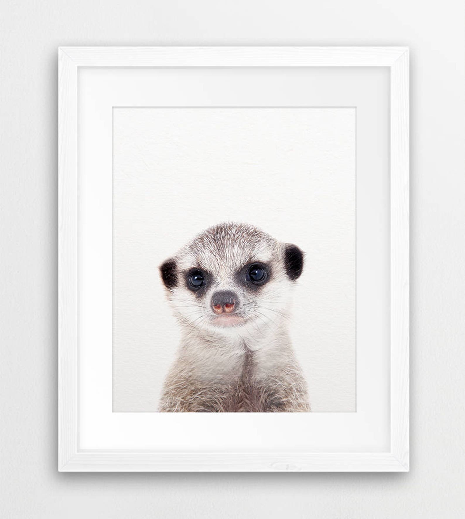 Meerkat Print, Nursery Art, Baby Meerkat Photo, Safari African Animal ...