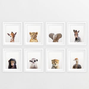 Safari Nursery Decor, Baby Animals Set 8, Lion Zebra Elephant Giraffe ...