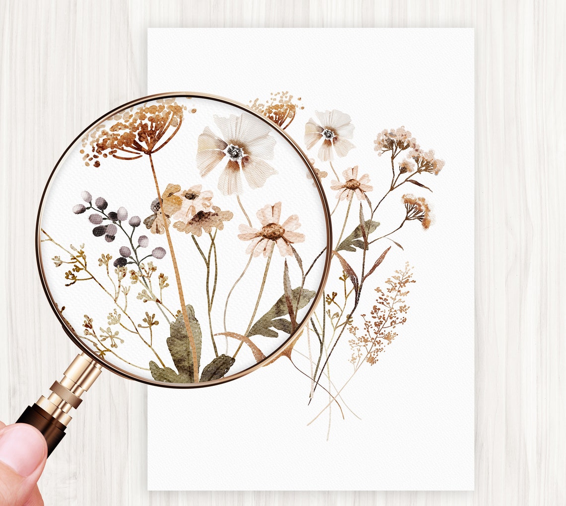 Watercolor Botanical Prints Wildflowers Wall Art Floral - Etsy