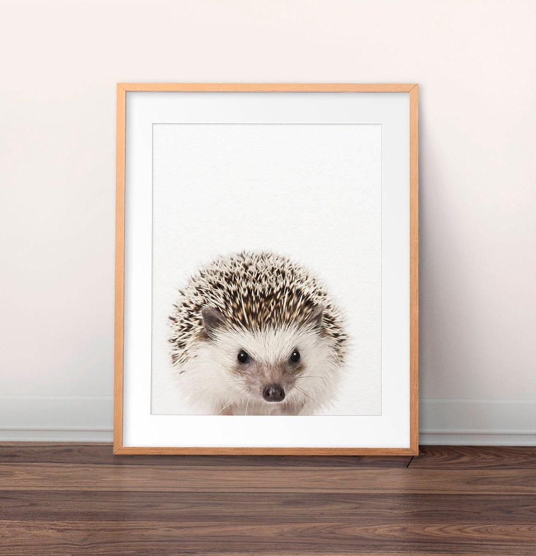 Hedgehog Print, Nursery Art, Woodland Animal Prints, Hedgehog Photo ...