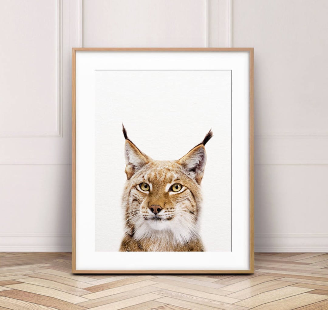 Lynx Print, Woodland Animal Prints, Lynx Wall Art, Bobcat Print ...