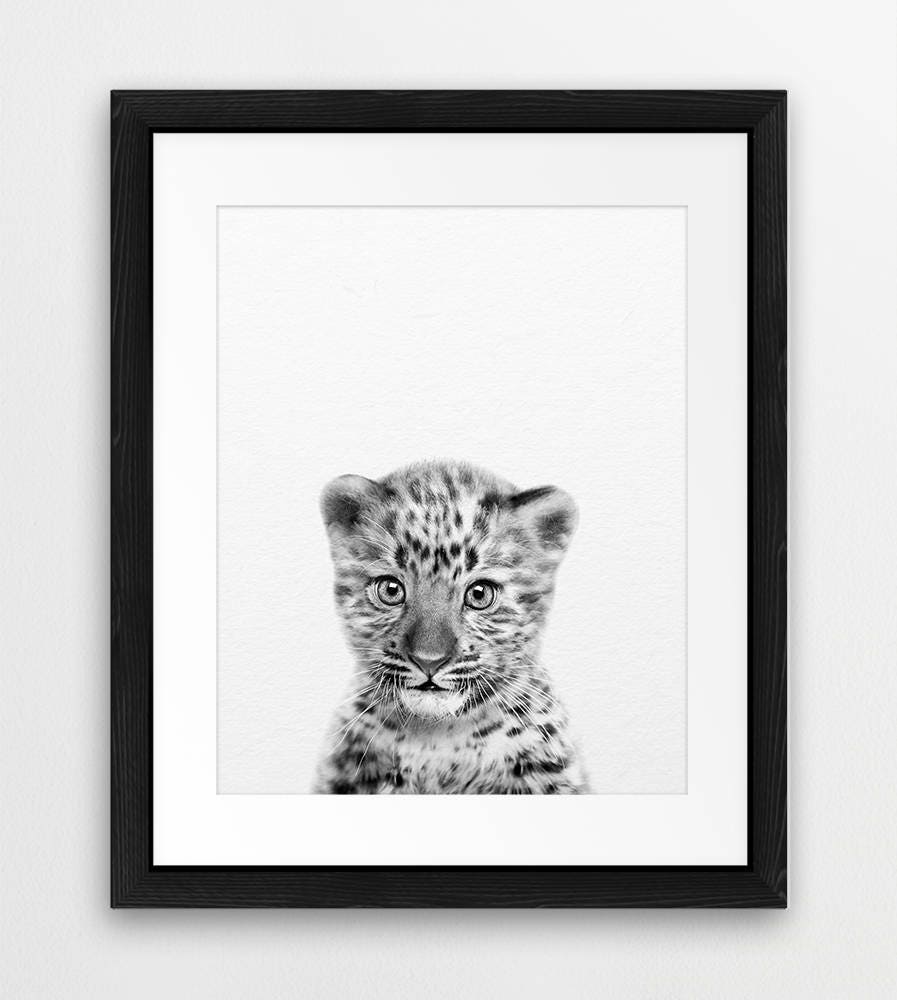 Leopard Cub Print Baby Leopard Art Forest Jungle Animal | Etsy