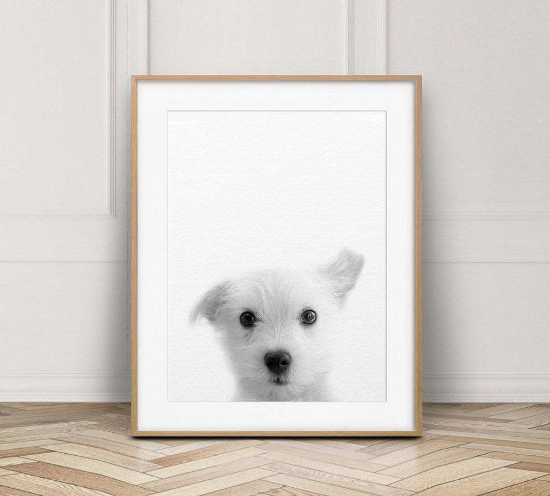 Dog Print, Puppy Photo, Black and White Animal Prints, Cute Puppy Print ...