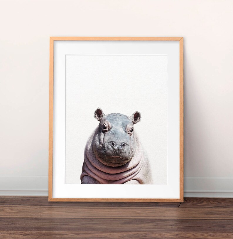 Hippo Print Baby Hippo Nursery Decor Safari Animal Nursery | Etsy