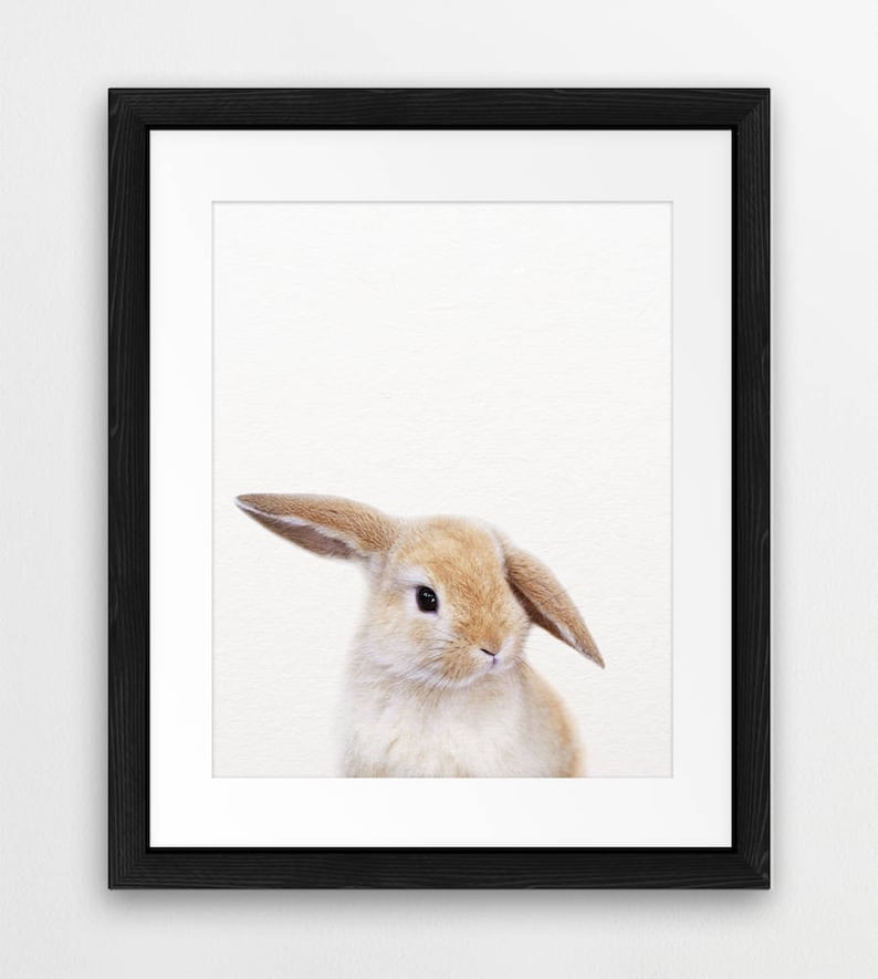 Bunny Print, Nursery Decor, Rabbit Print, Baby Animal Prints, Nursery ...