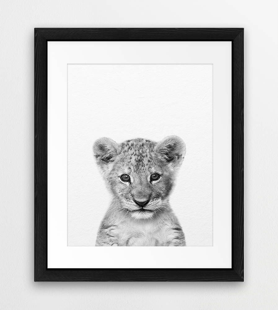 Baby Lion Print Nursery Decor Safari African Animals Lion | Etsy