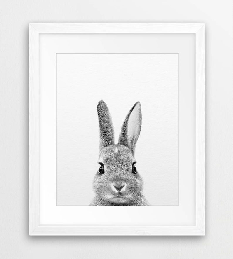 Rabbit Print Bunny Art Print Black & White Animal Cute Baby | Etsy