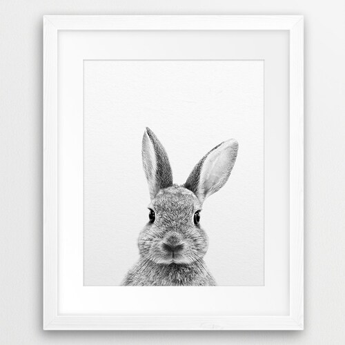 Rabbit Print Bunny Rabbit Art Black & White Animal Prints | Etsy