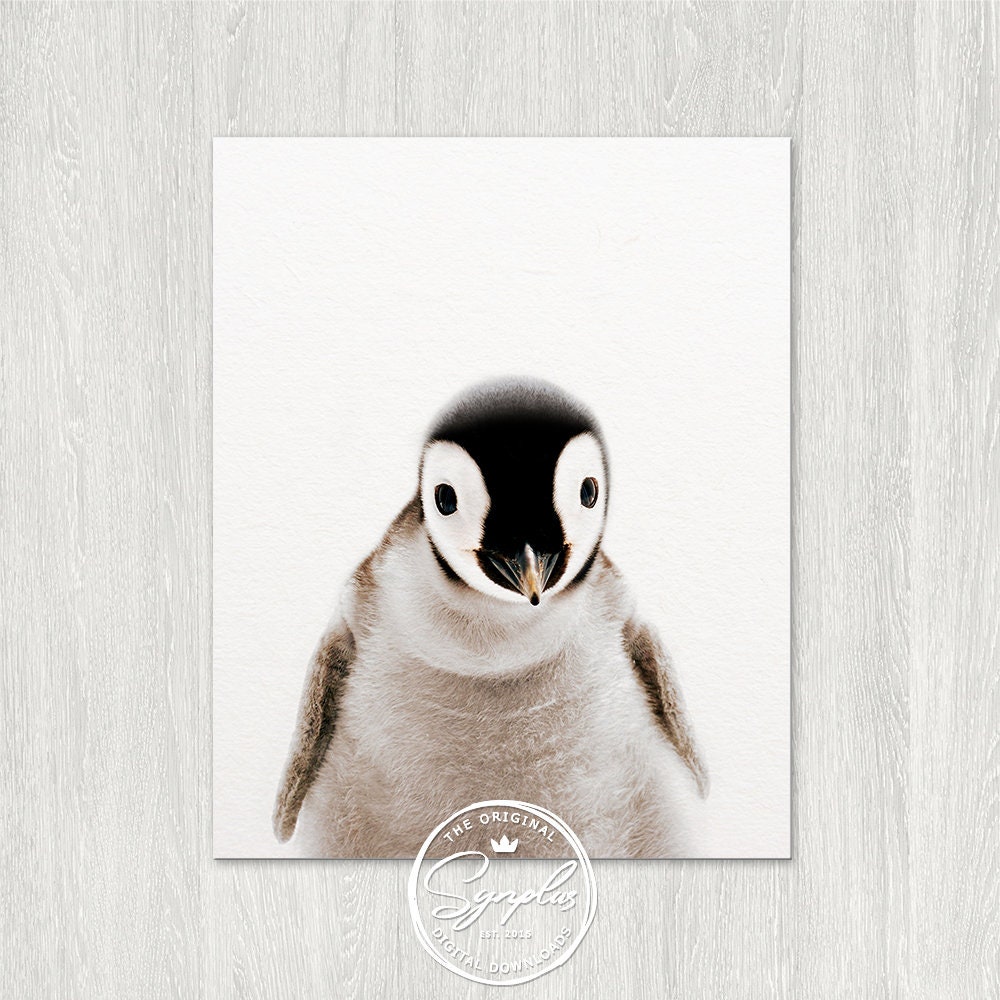 Penguin Print, Baby Penguin Art, Antarctica Animal, Cute Baby Animals ...