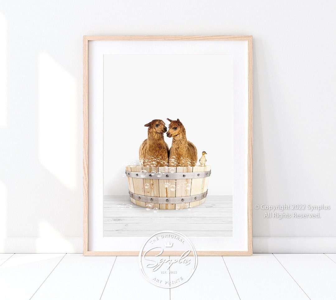 Two Alpacas and Duckling in Wooden Bathtub Printable Art, Baby Alpaca ...