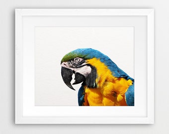 Parrot print | Etsy