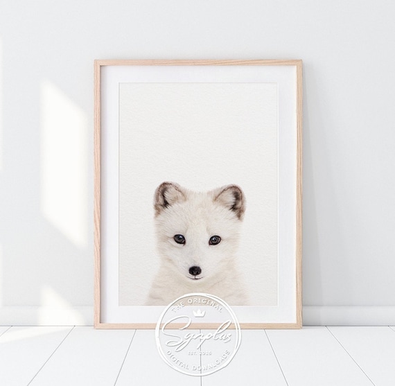 Fox Print Arctic Fox Cub Art White Animal Photo Baby Animal | Etsy