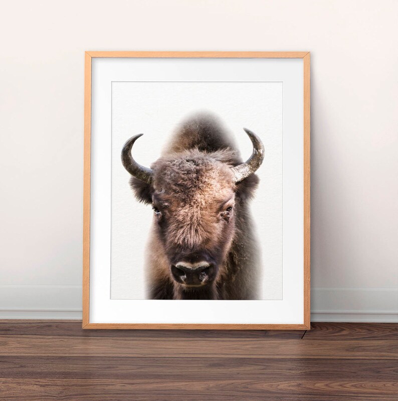 Buffalo Print Bison Wall Art American Bison Print Nursery - Etsy