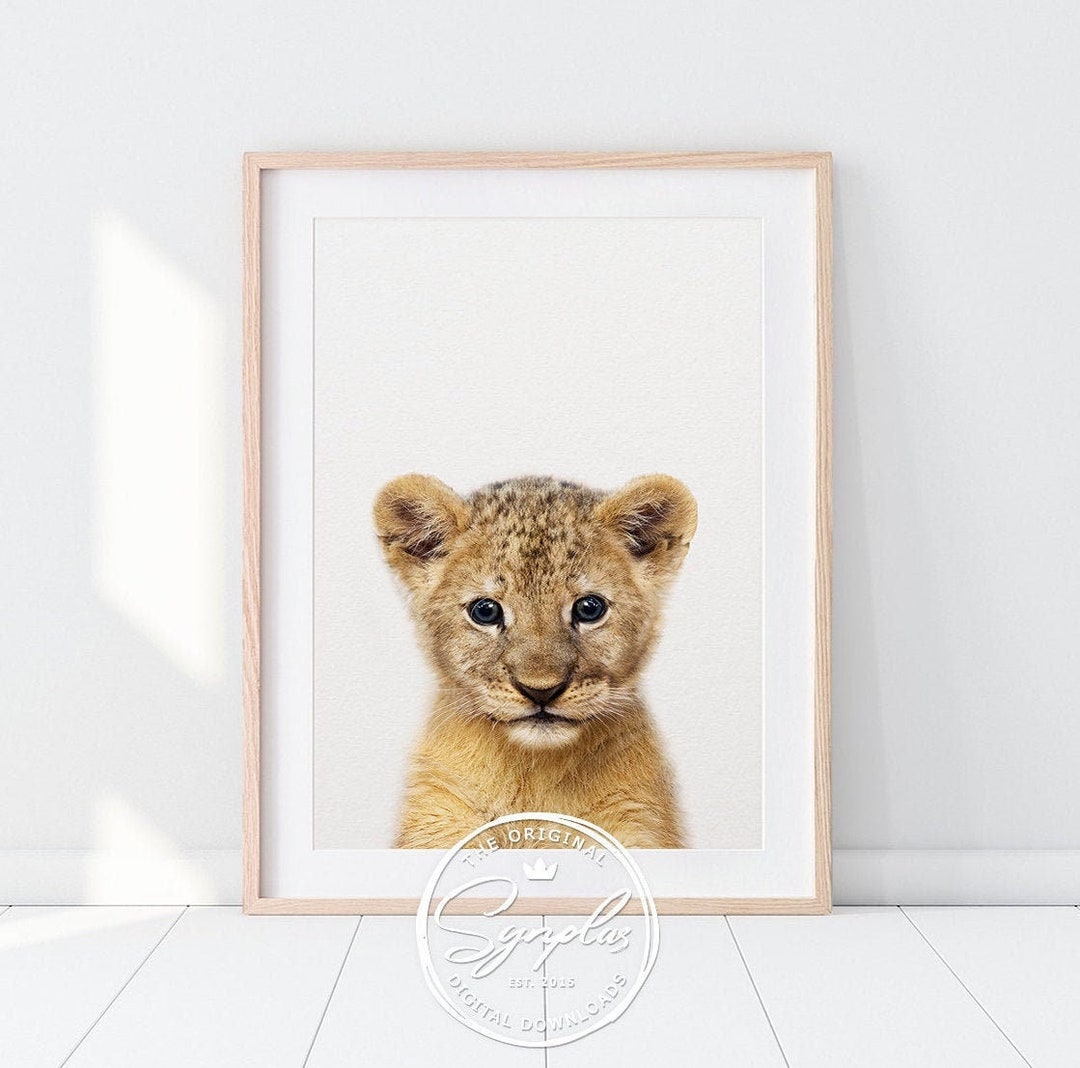 Lion Print, Lion Cub Art, Baby Animals Print, Safari Animal Prints ...