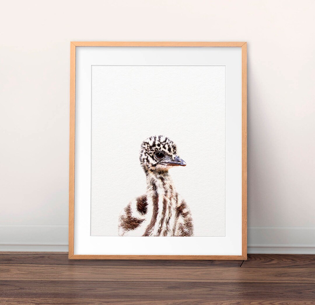 Emu Print, Baby Animal Prints, Australian Animals, Emu Chick Print ...