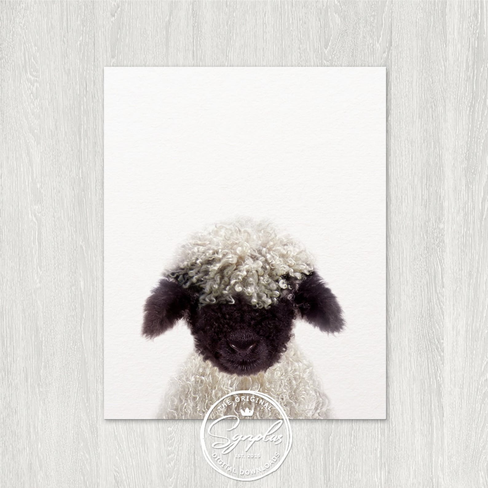 Lamb Print Nursery Decor Baby Lamb Print Blacknose Lamb | Etsy