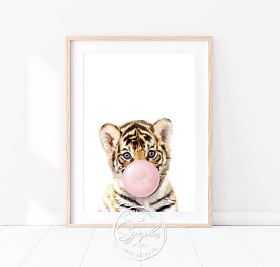 Baby Tiger With Bubble Gum Tiger Cub Blowing Bubble Gum | Etsy