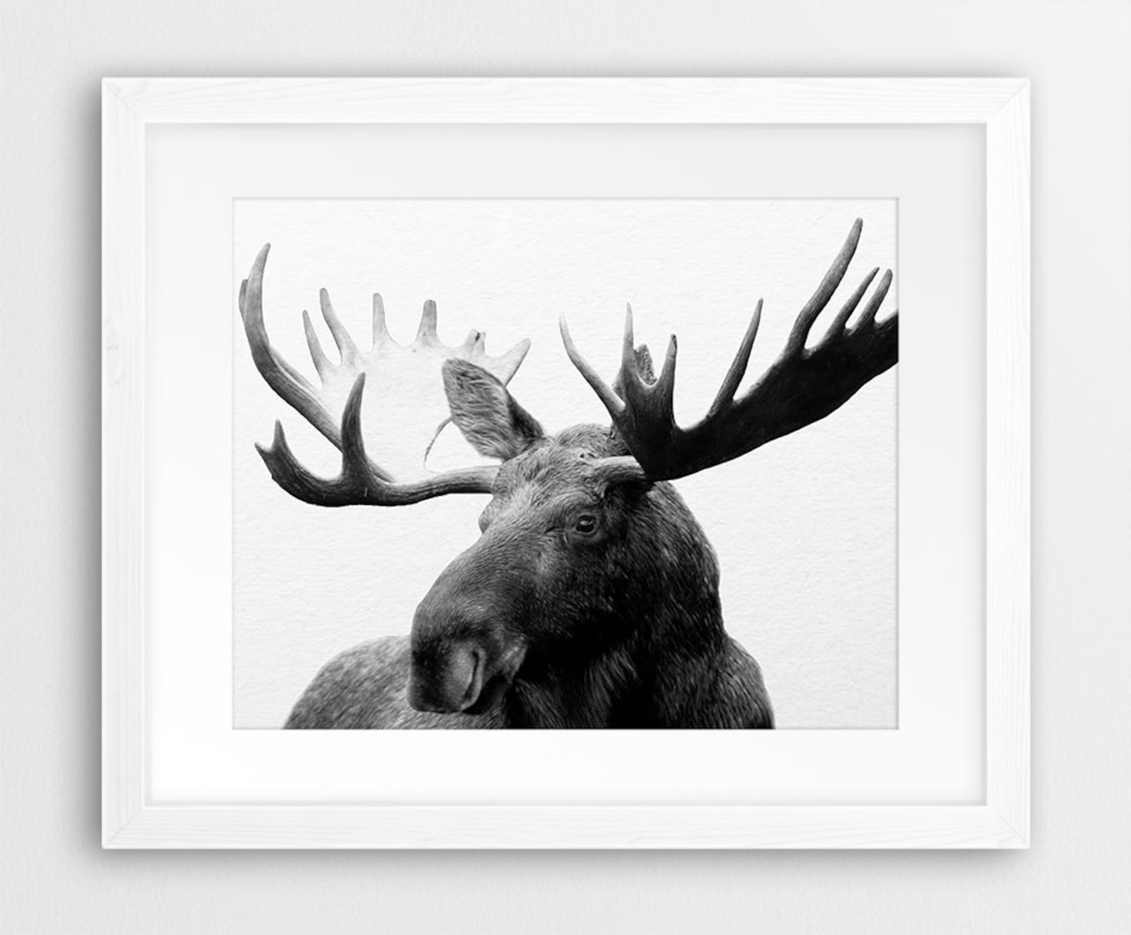 Moose Printable Art Moose Photography Black and White - Etsy
