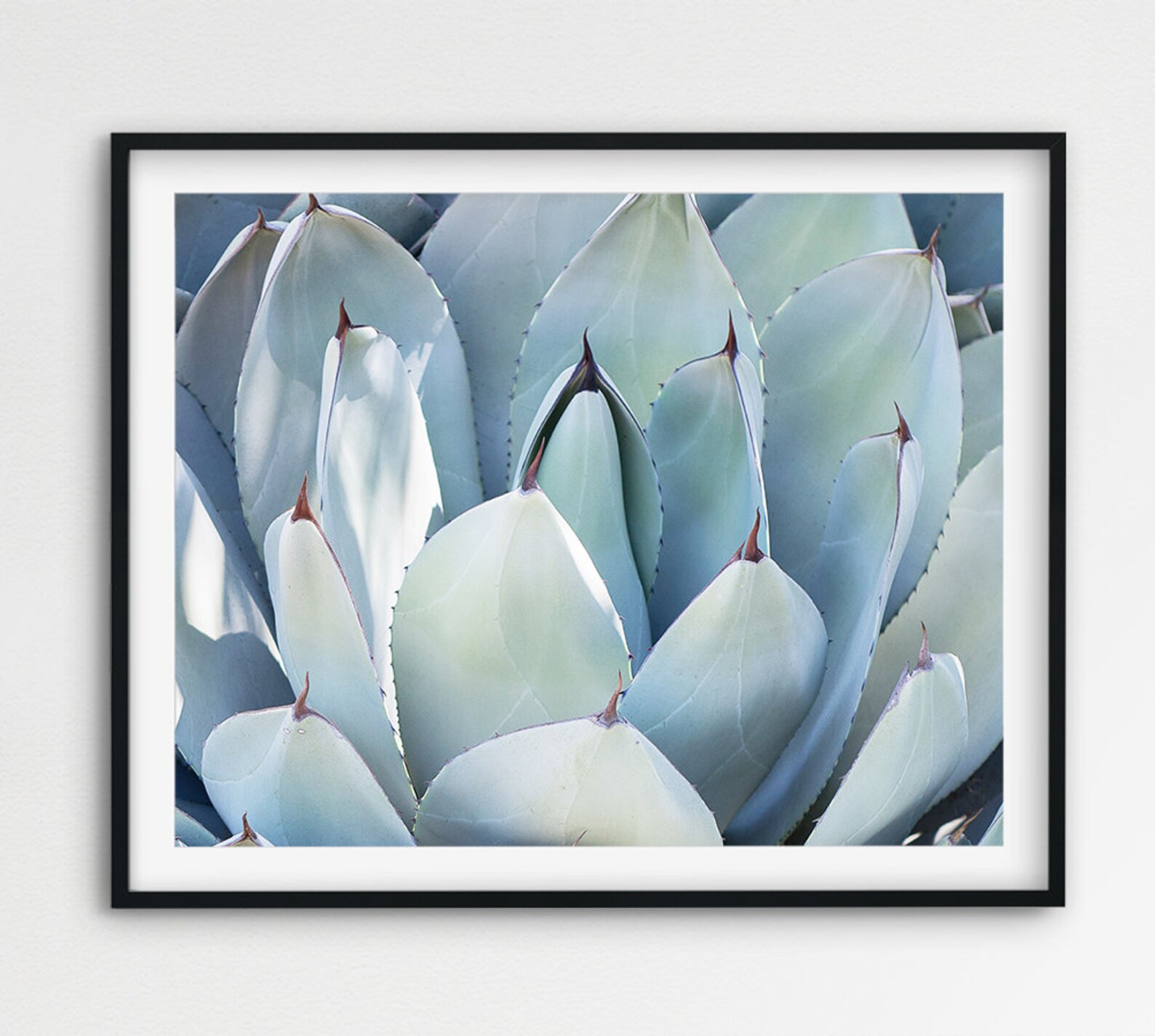 Succulent Print Set of 3 Succulent Prints Agave Succulent - Etsy