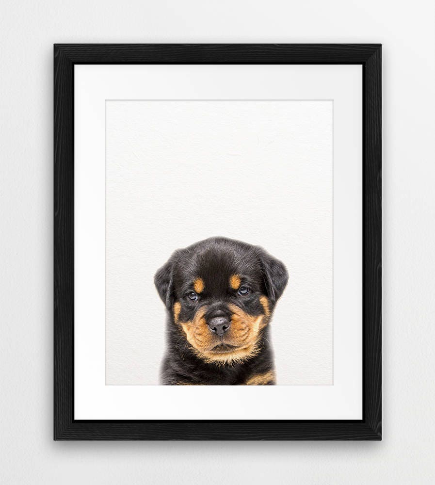 Dog Print Baby Animal Prints Puppy Print Nursery Art | Etsy