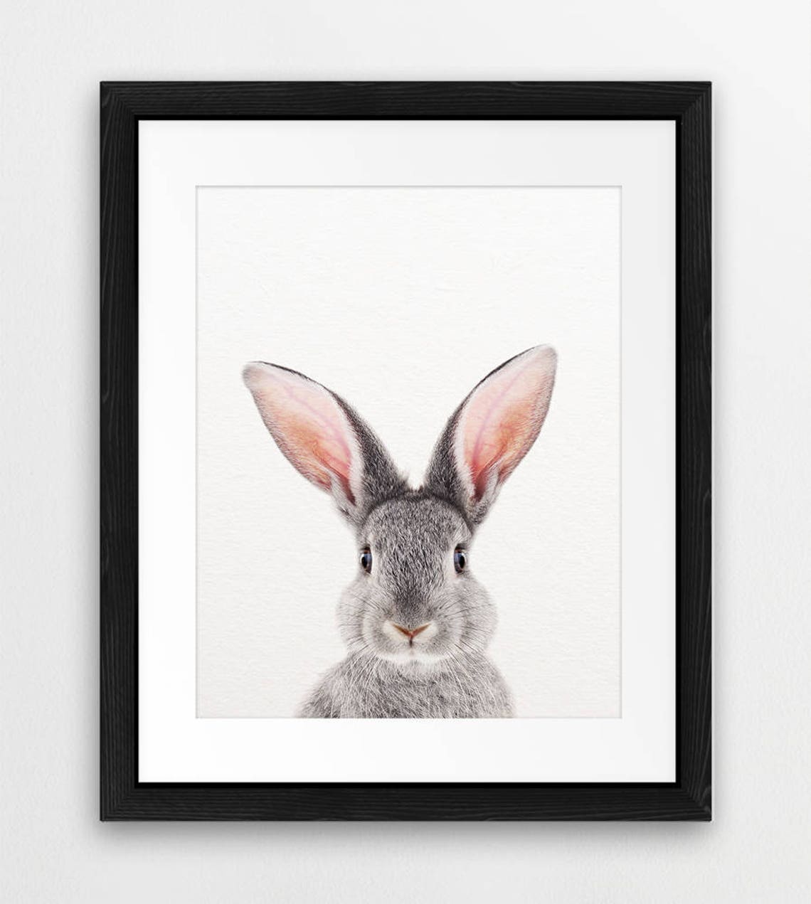 Rabbit Print Woodland Nursery Decor Rabbit Photo Bunny - Etsy