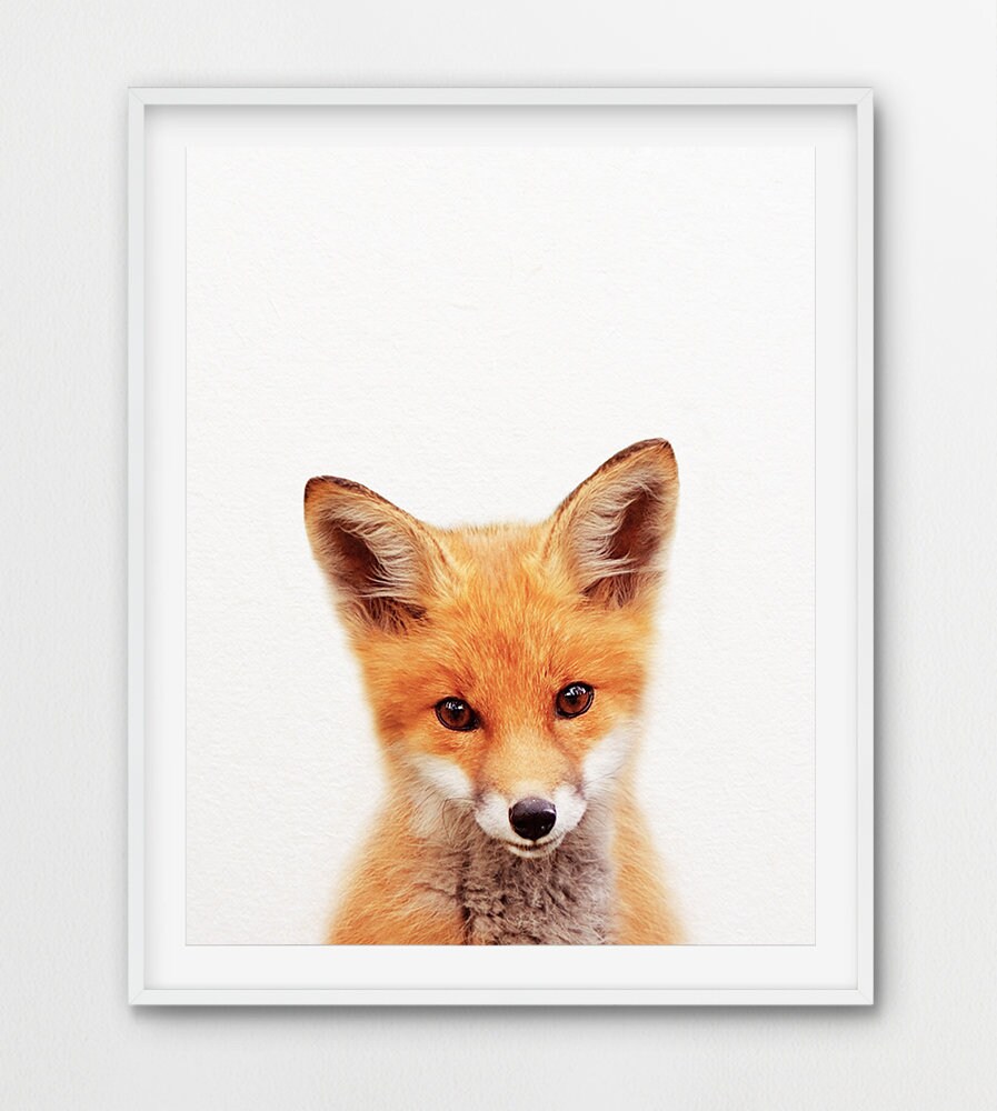Fox Print Fox Cub Art Nursery Wall Art Pup Fox Photo - Etsy