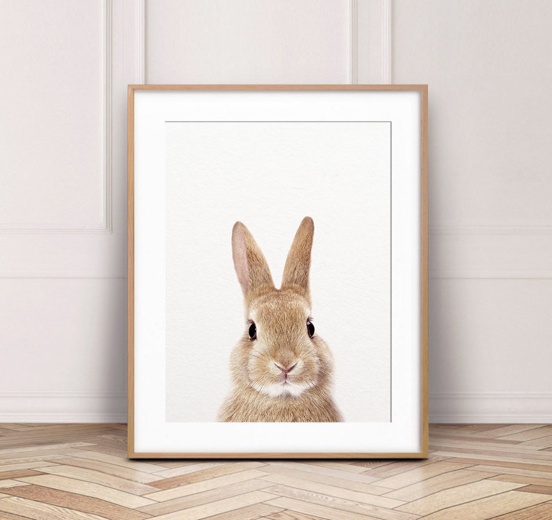 Rabbit Print, Woodland Nursery Decor, Bunny Print, Bunny Rabbit, Baby ...
