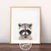 Raccoon Print, Woodland Animals, Animal Art, Baby Animals, Nursery ...