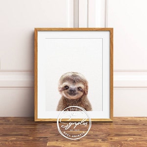 Nursery Wall Art, Baby Sloth Print, Nursery Decor, Sloth Art, Cute Baby ...